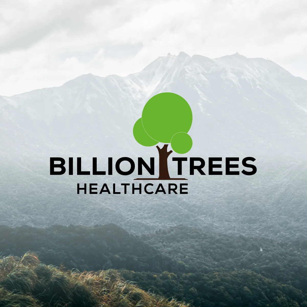 Billion Trees Healthcare - Ignacio
